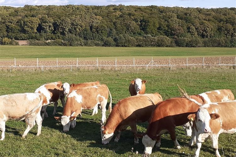 Ministarstvo poljoprivrede, šumarstva i ribarstva - Nakon 11 godina ...