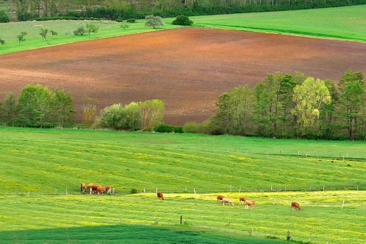 Ministarstvo poljoprivrede, šumarstva i ribarstva - Produljuje se rok ...
